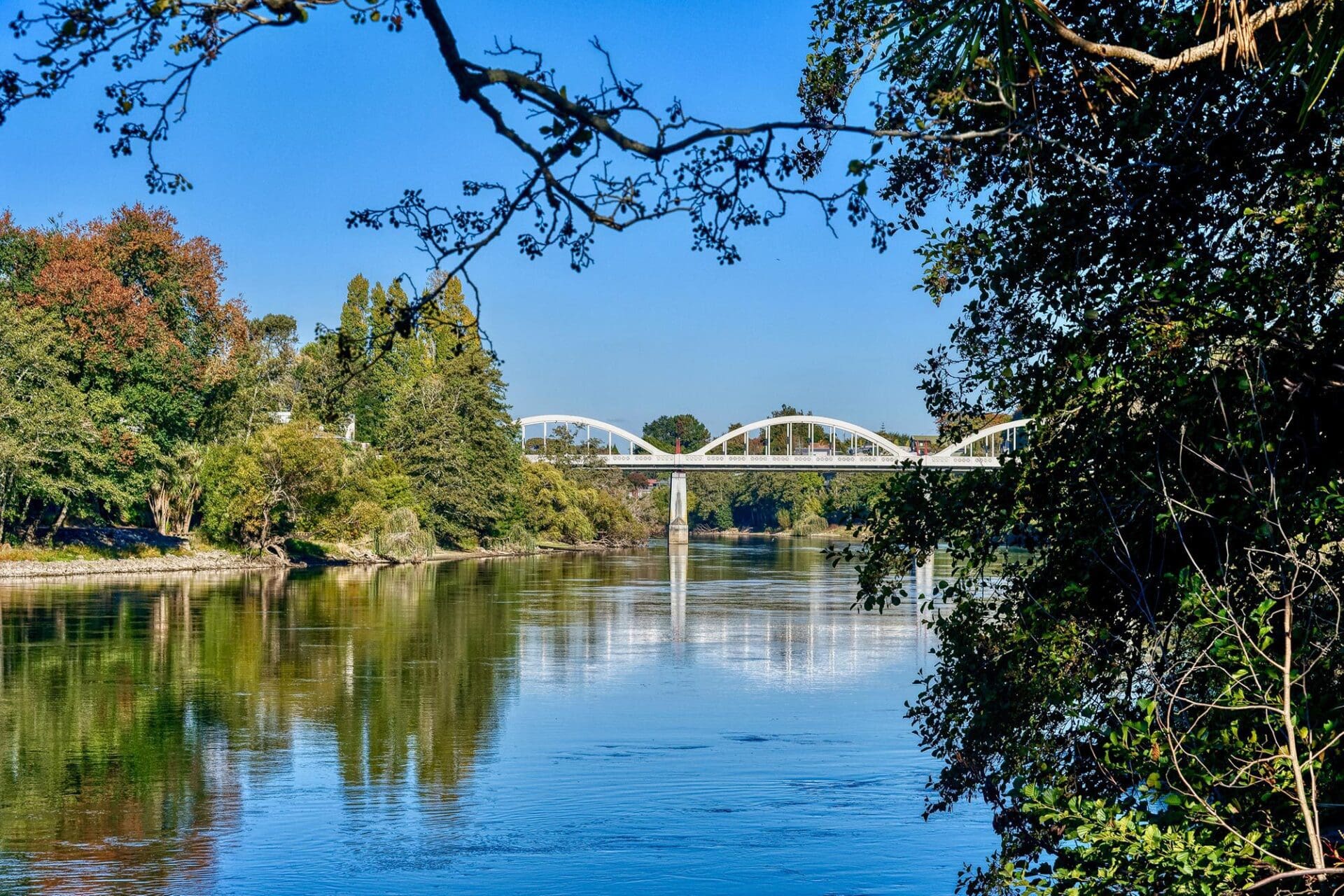 5 Reasons To Move To Hamilton | The Moving Company NZ